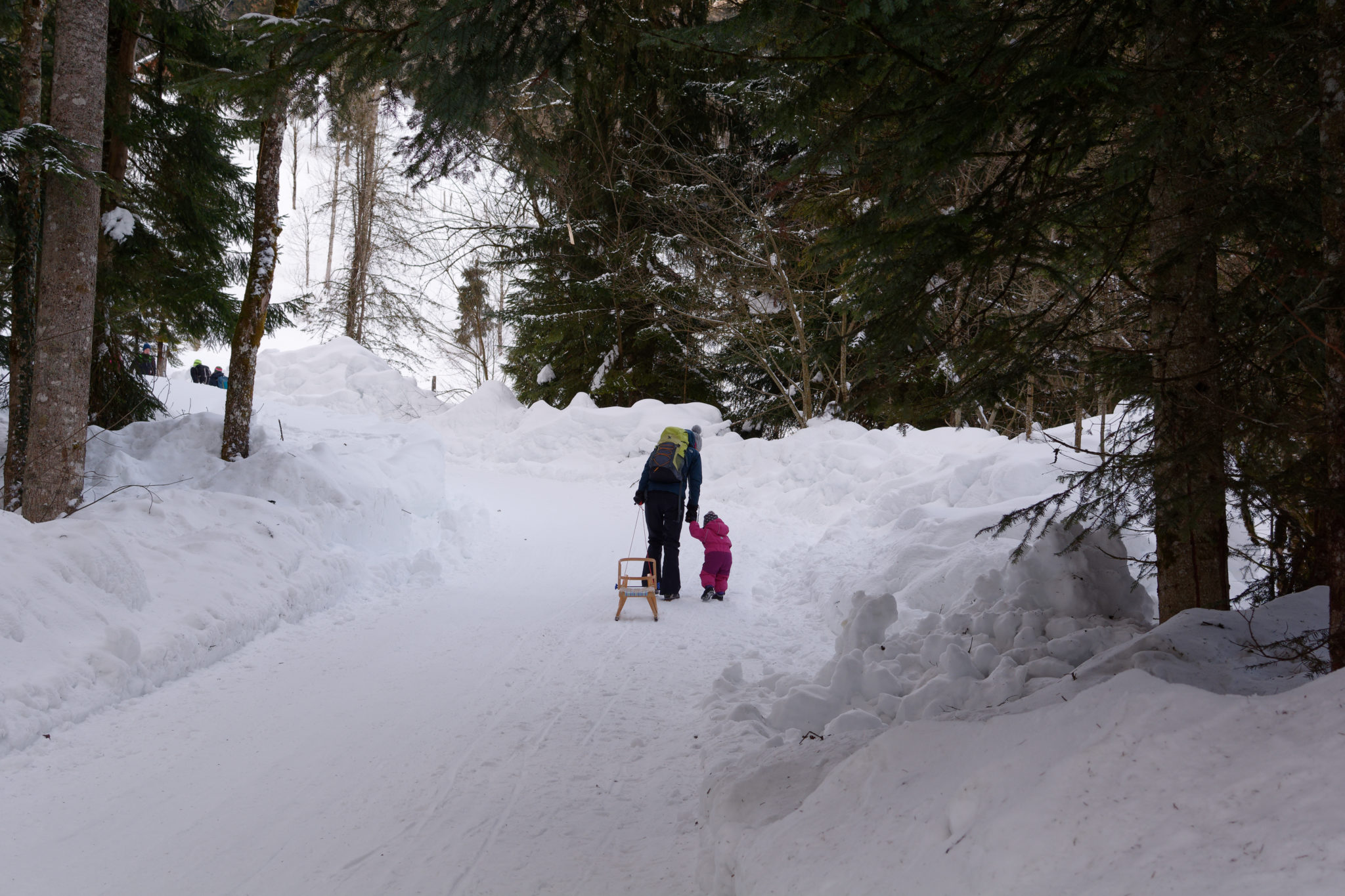 Winterwanderung mit Kindern und Schlitten - 5 Klassiker nahe München ...